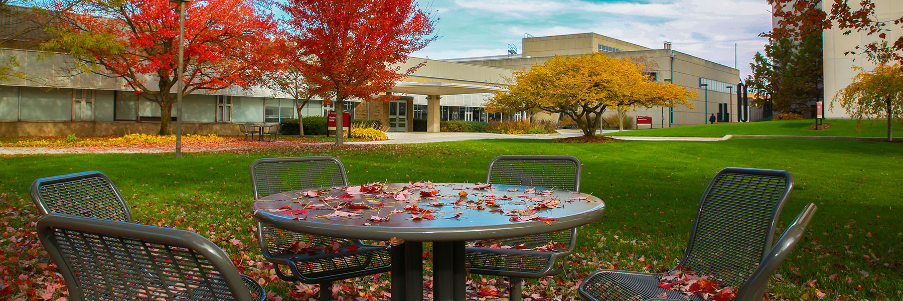 Faculty Organization - Indiana University Northwest